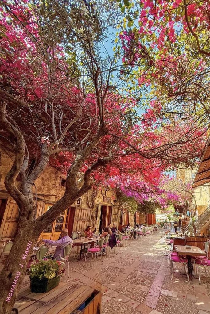 Byblos | Authentic Lebanese Restaurant in North Adelaide